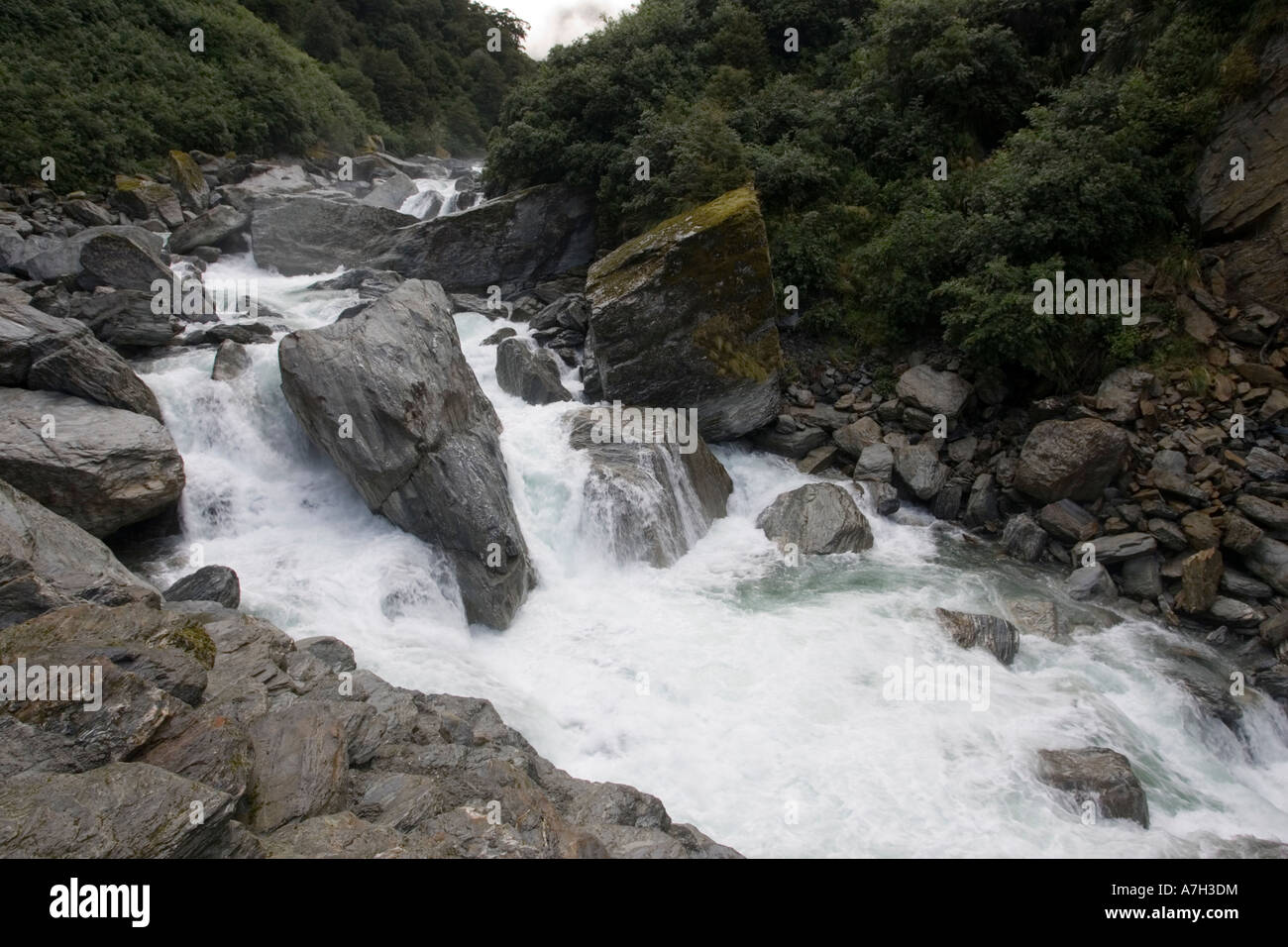 Haast River running through gorge at Gates of Haast South Island New ...