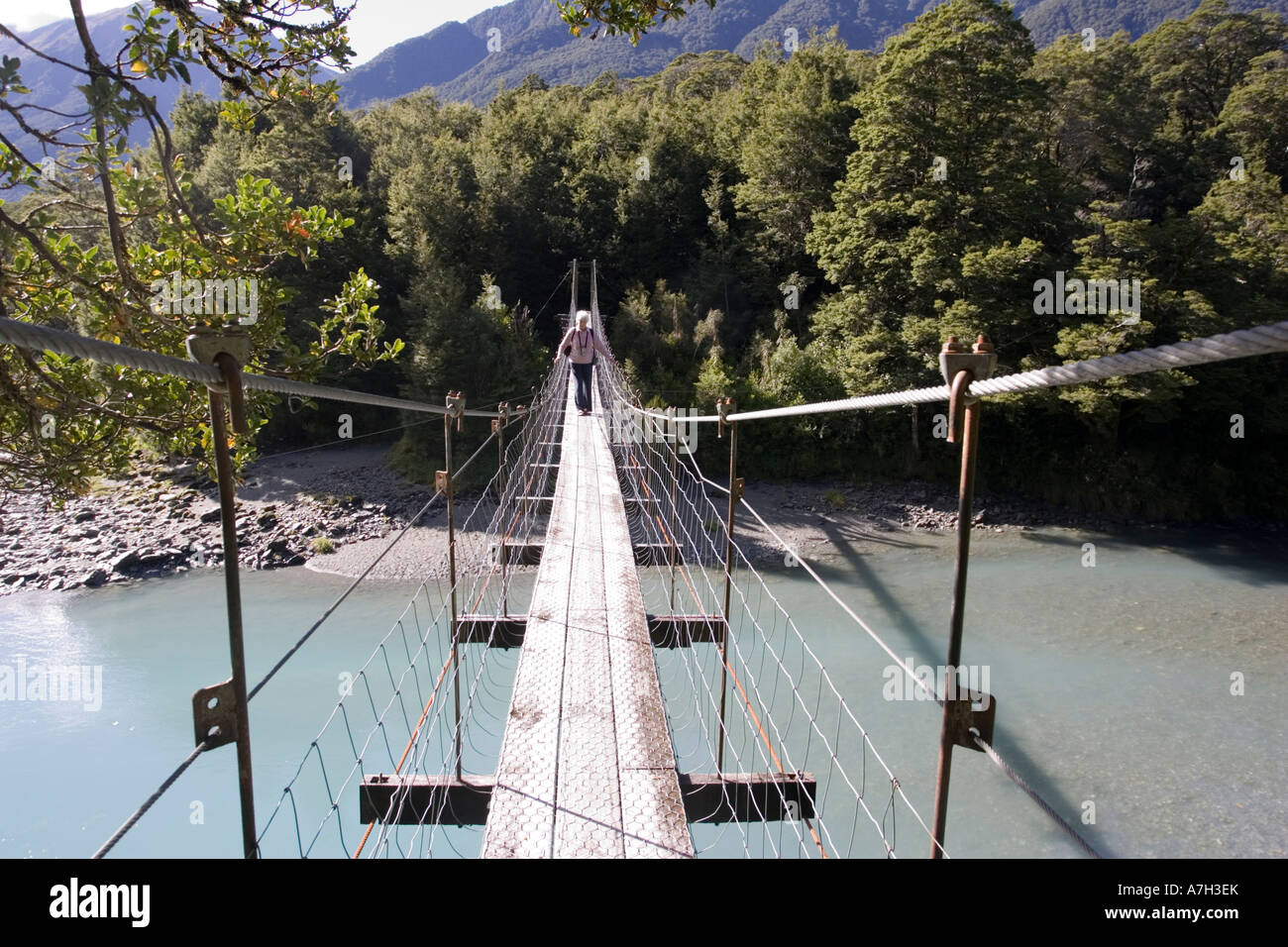 Woman tourist crossing wire suspension bridge over Haast River at Blue ...