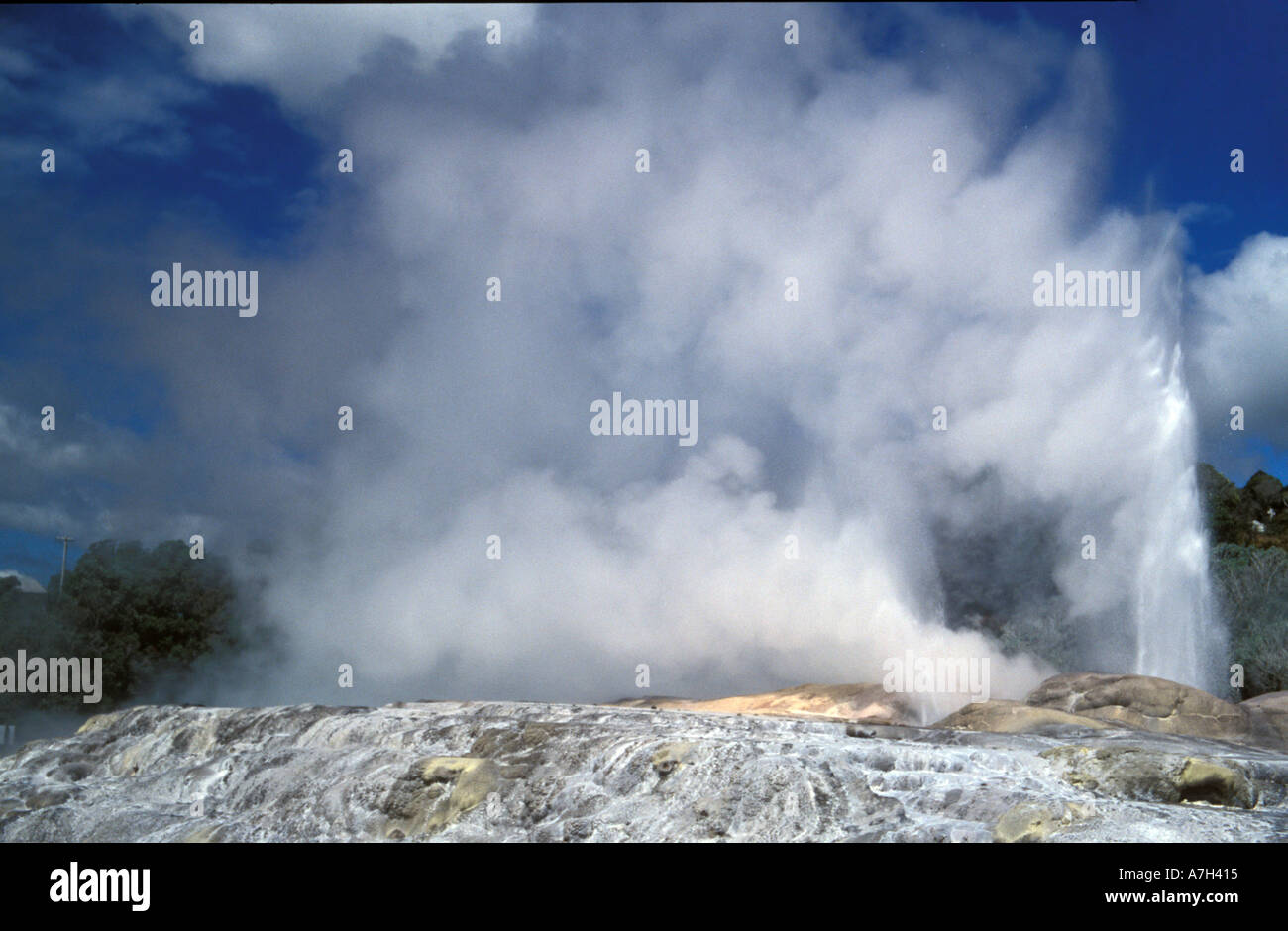 geysers exploding at whakarewarewa rotorua new zealand Stock Photo - Alamy