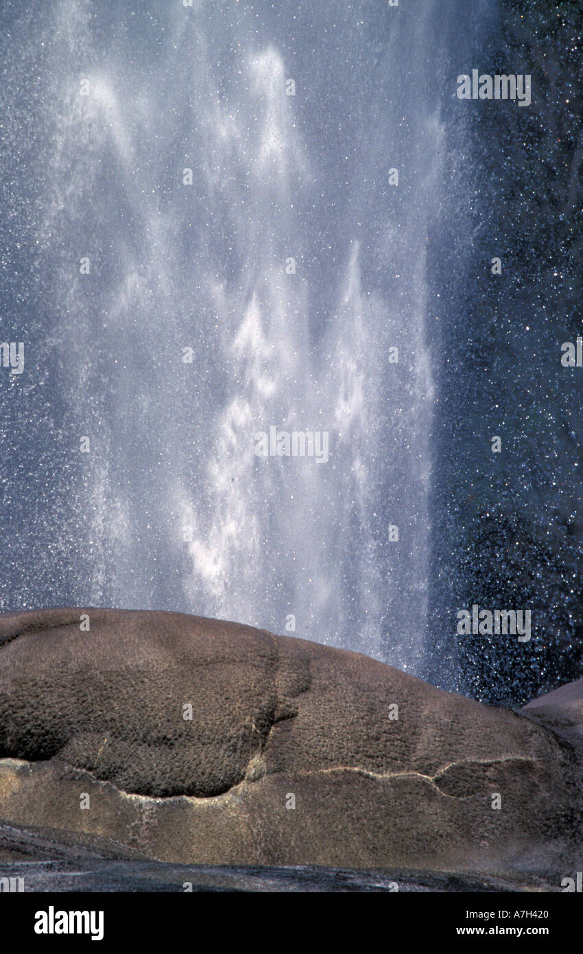 geysers exploding at whakarewarewa rotorua new zealand Stock Photo - Alamy