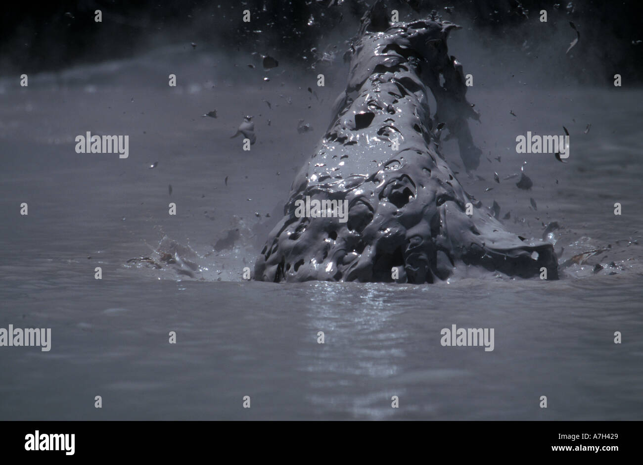 mud exploding due to thermal activity waiotapu new zealand Stock Photo ...