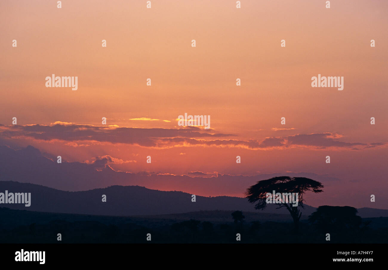 Sunset in Kenya, Africa Stock Photo - Alamy