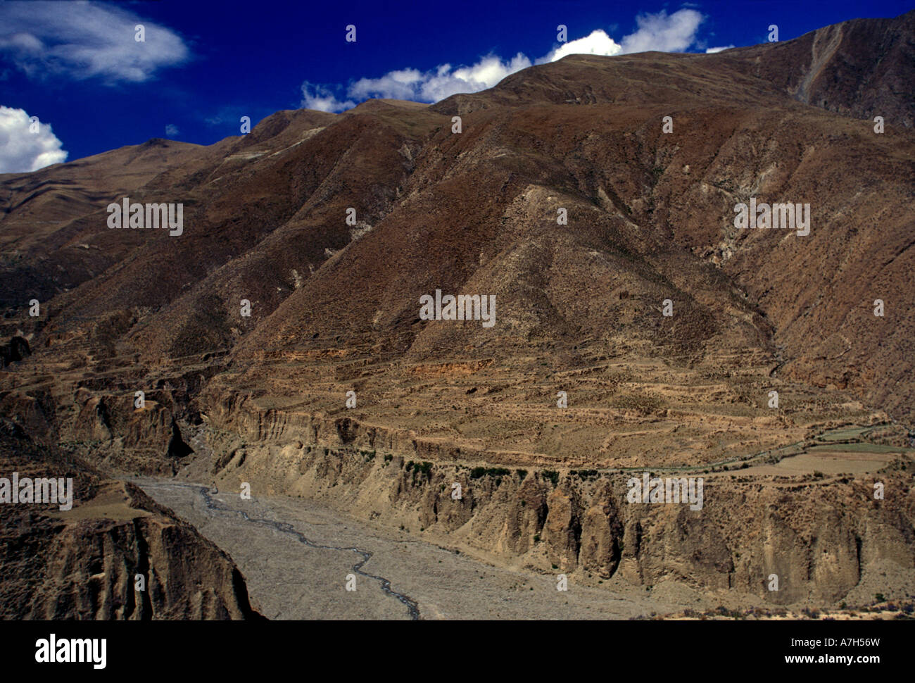 Kamba hi-res stock photography and images - Alamy