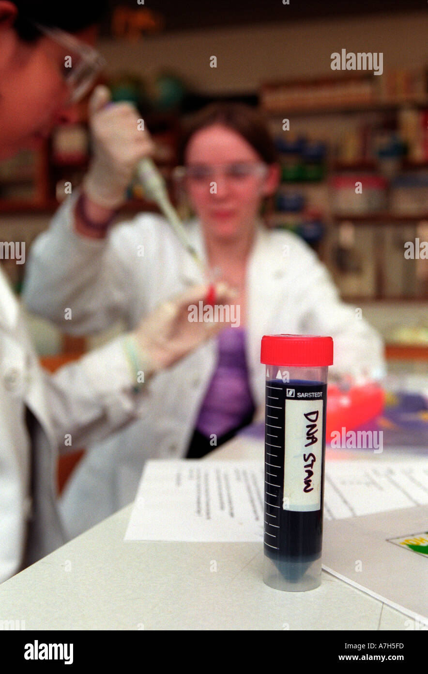 Secondary school pupils studying DNA samples in school experiment Stock ...