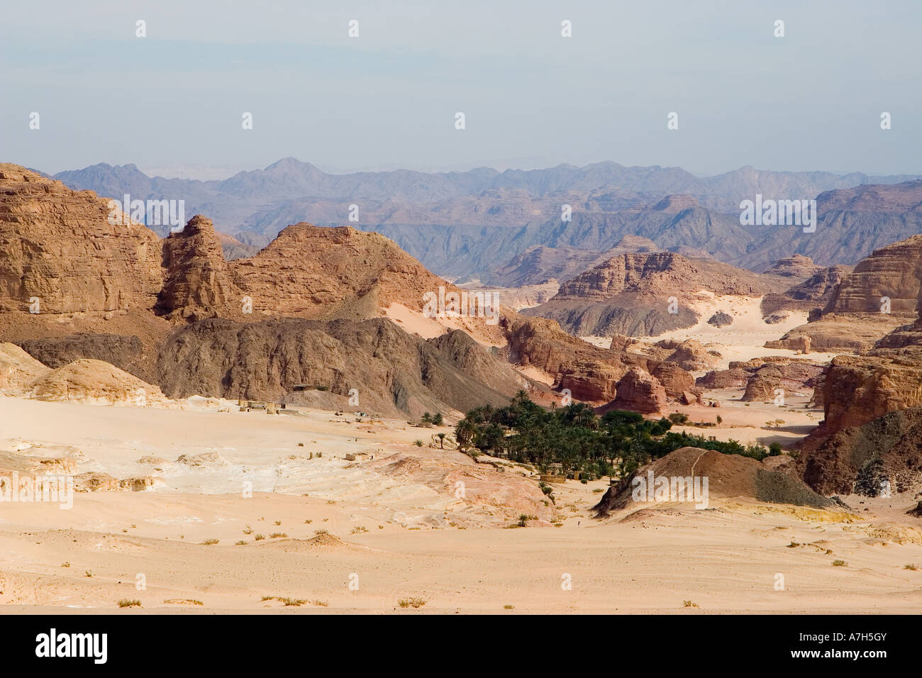 Landscape of Sinai desert Stock Photo - Alamy