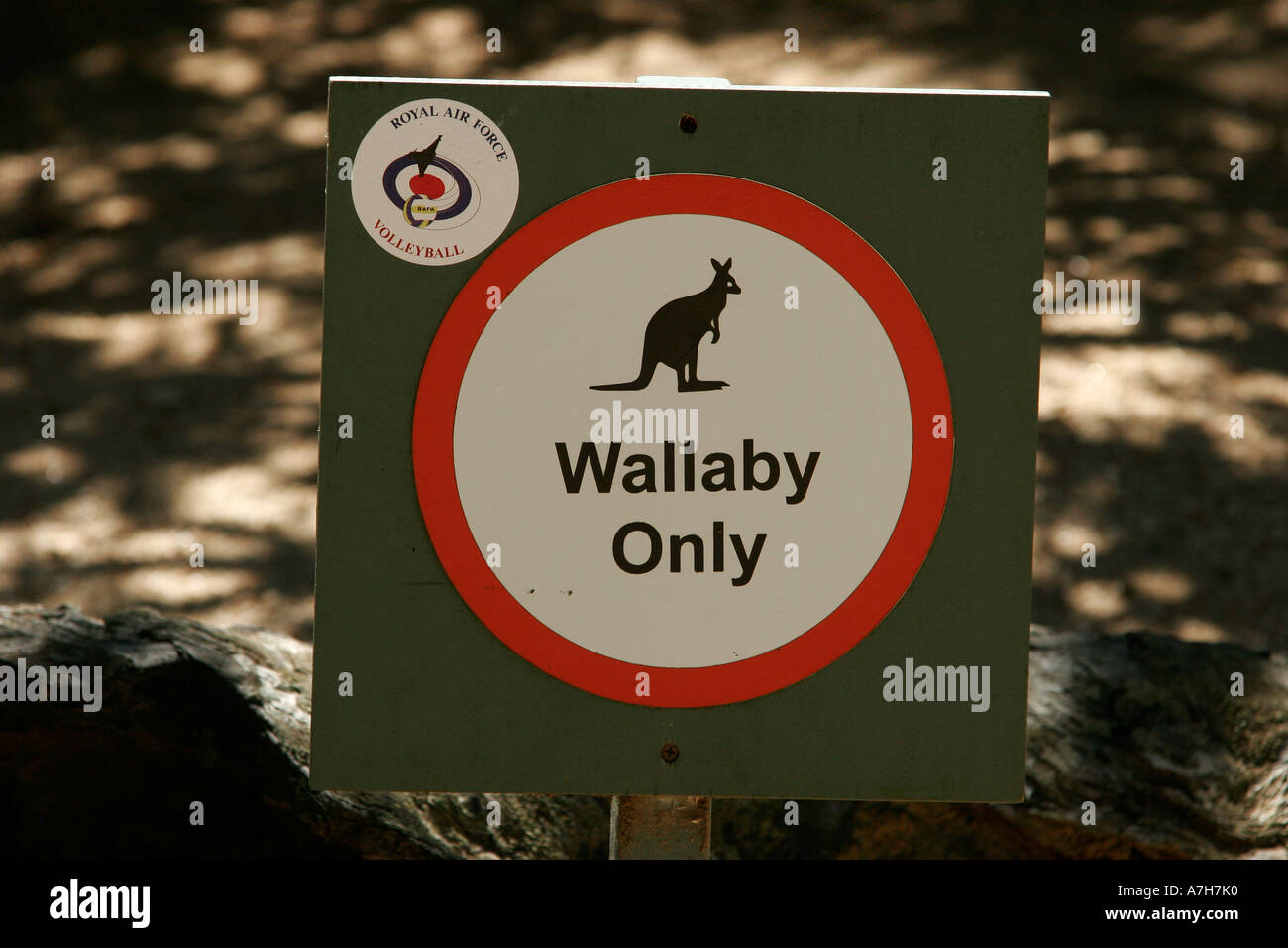 Wallaby only sign at Taronga zoo, New South Wales Australia Stock Photo ...