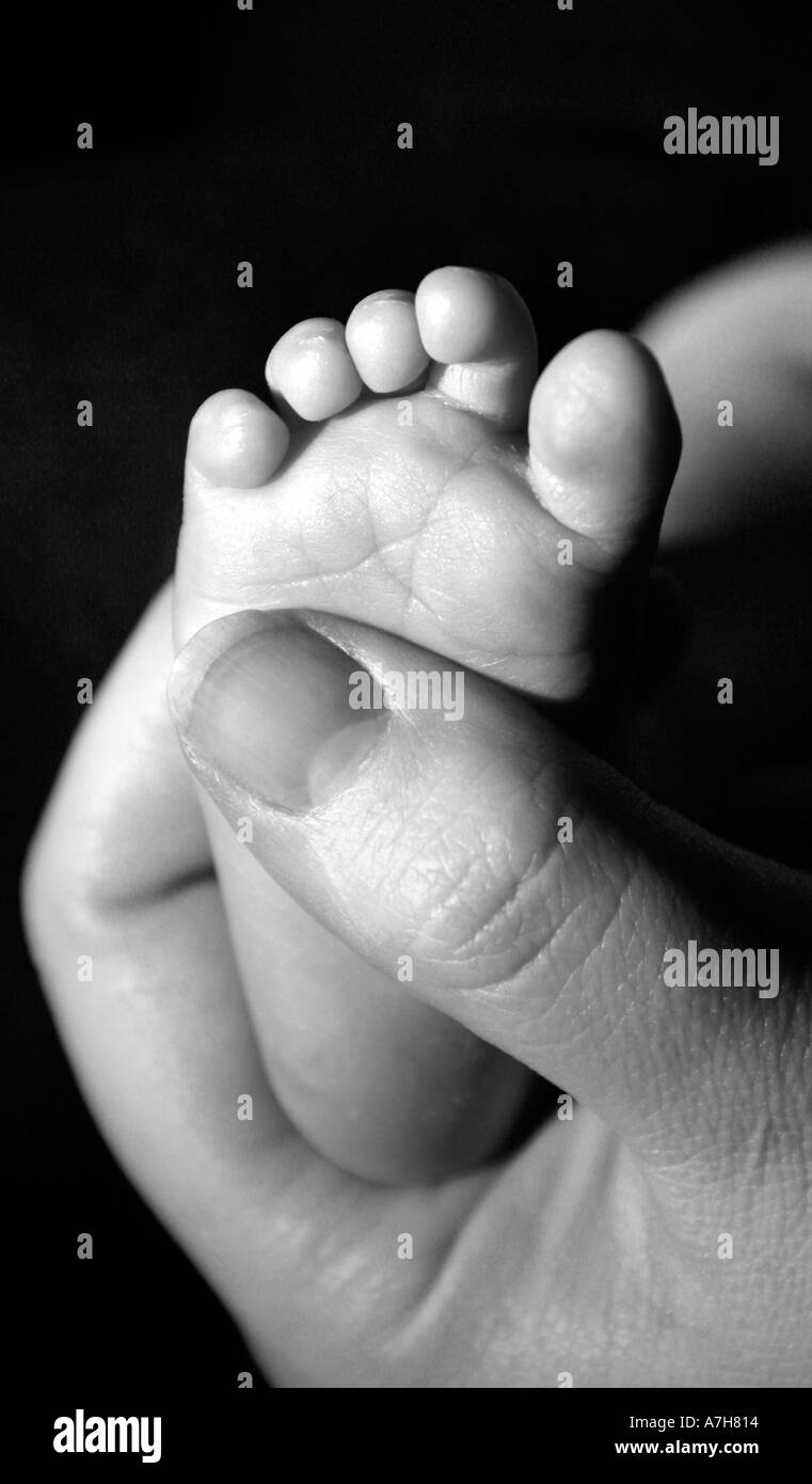 Hand holding feet Black and White Stock Photos & Images - Alamy