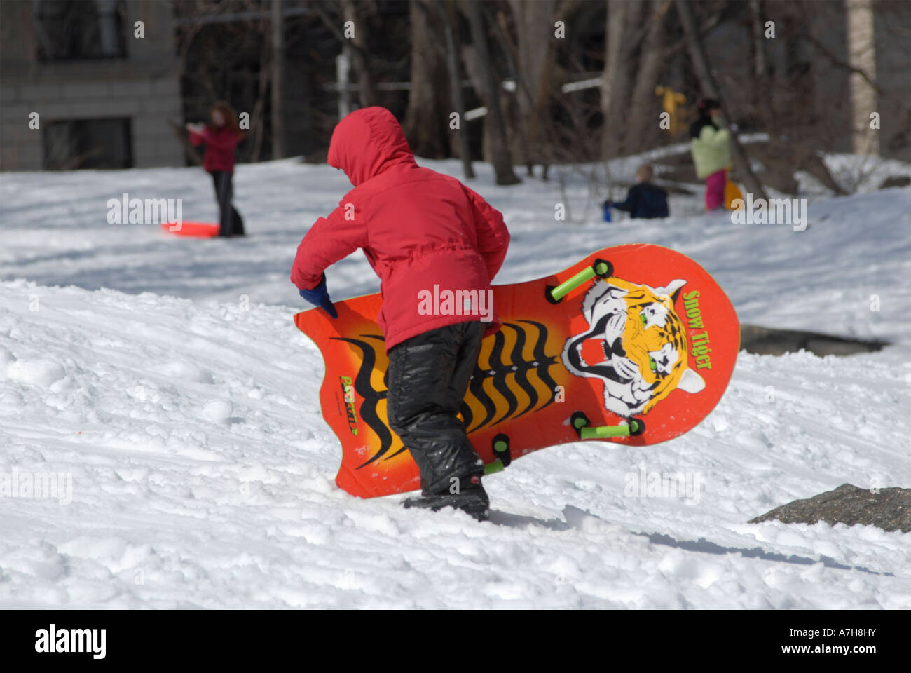 Young boy in Central Park, New York City, with sledding board in winter ...