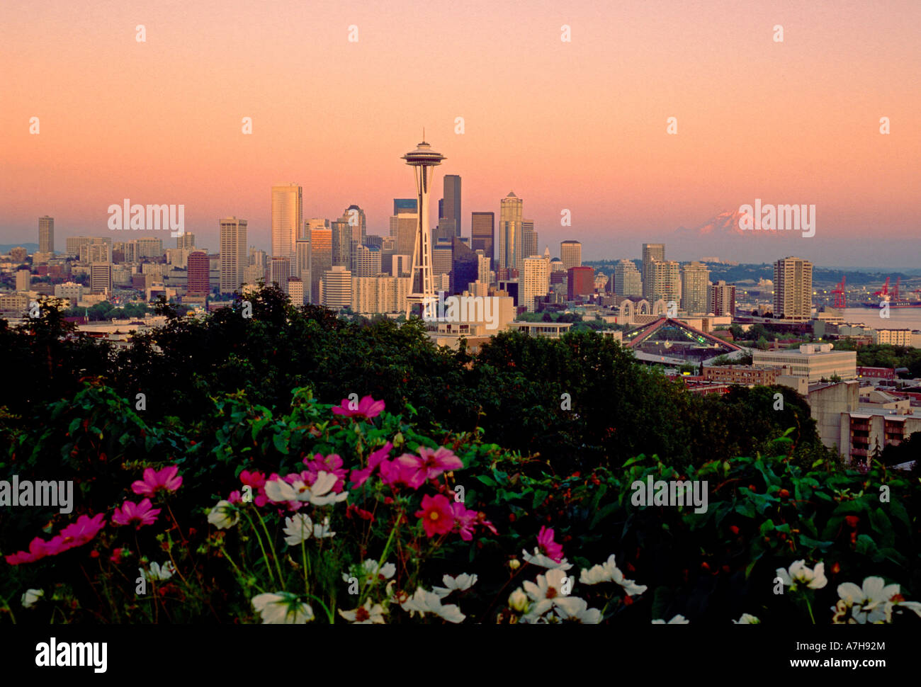 Space Needle, downtown, view from Queen Anne Hill, city of Seattle ...