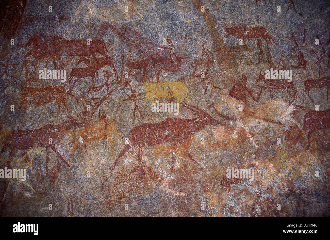 San bushmen cave rock art paintings hi-res stock photography and images ...