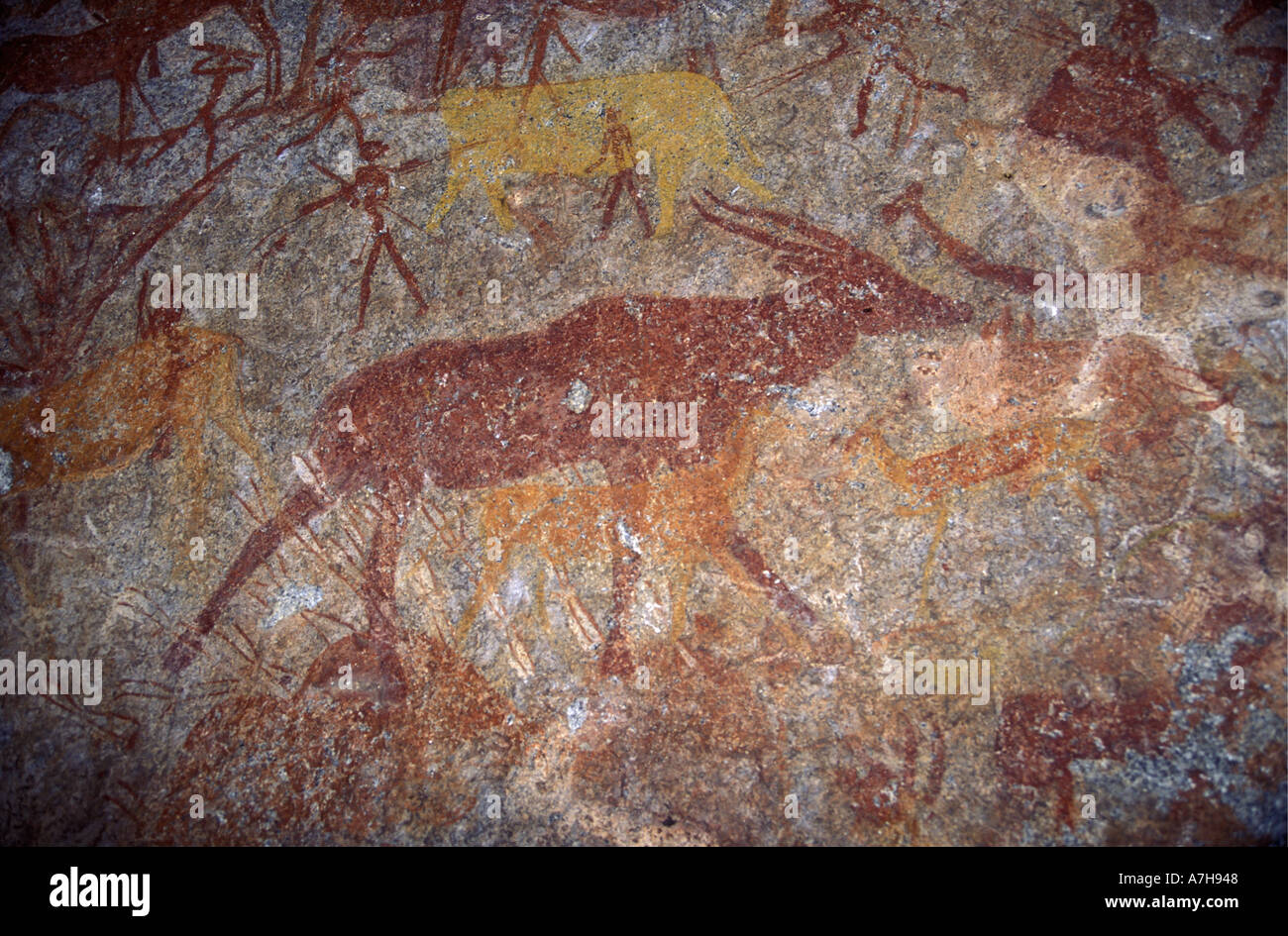 San bushmen cave rock art paintings hi-res stock photography and images ...
