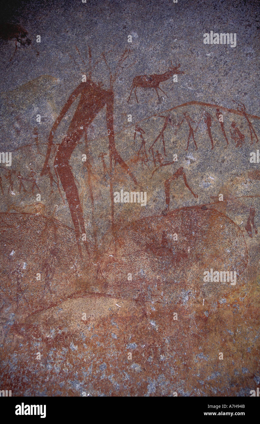 San bushmen cave rock art paintings hi-res stock photography and images ...