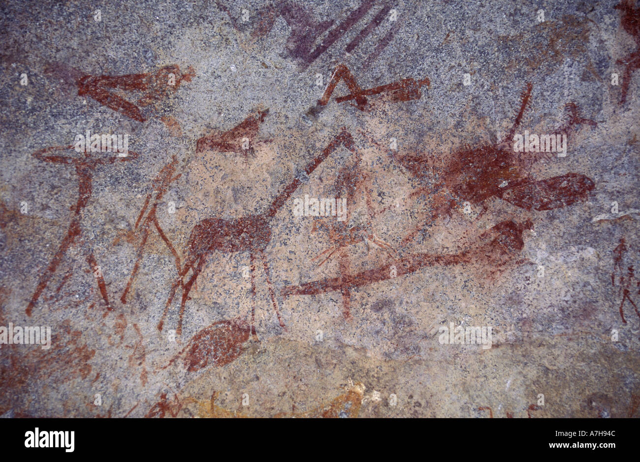 Bushmen or San paintings in Inange Cave Matobo National Park Zimbabwe ...