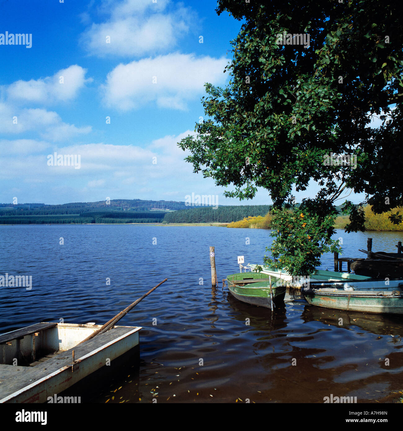 verlandeter Vulkansee Jungferweiher in Ulmen in der Eifel, Rheinland ...
