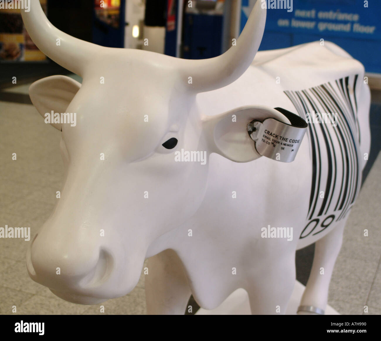 Cow Parade Manchester Stock Photo - Alamy