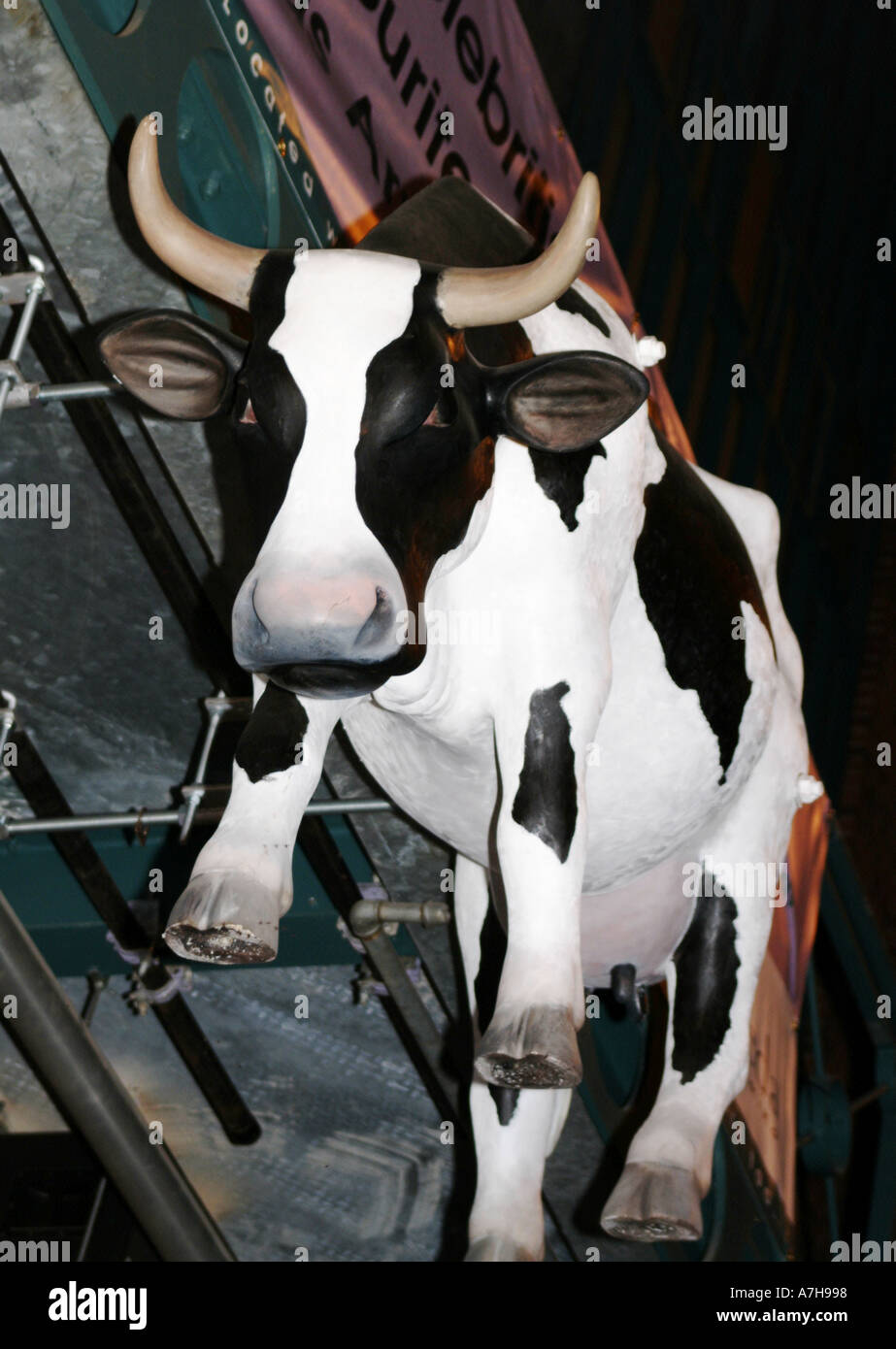 Cow Parade Manchester Stock Photo - Alamy