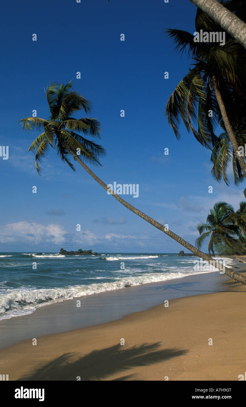 Ankobra beach, Ghana Stock Photo - Alamy