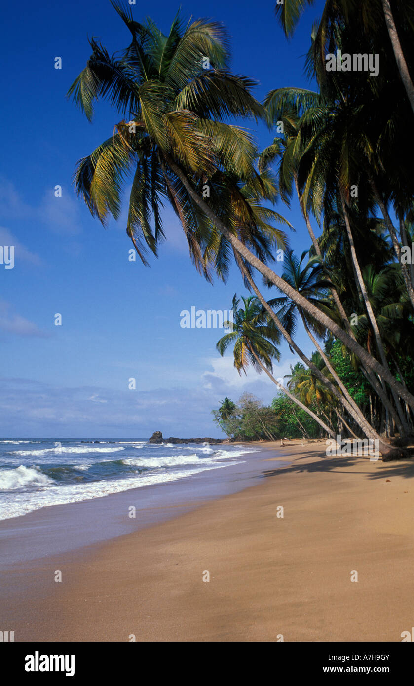 Ankobra beach, Ghana Stock Photo - Alamy