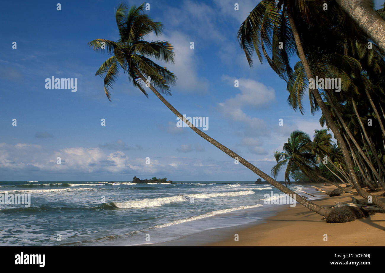 Ankobra beach, Ghana Stock Photo - Alamy