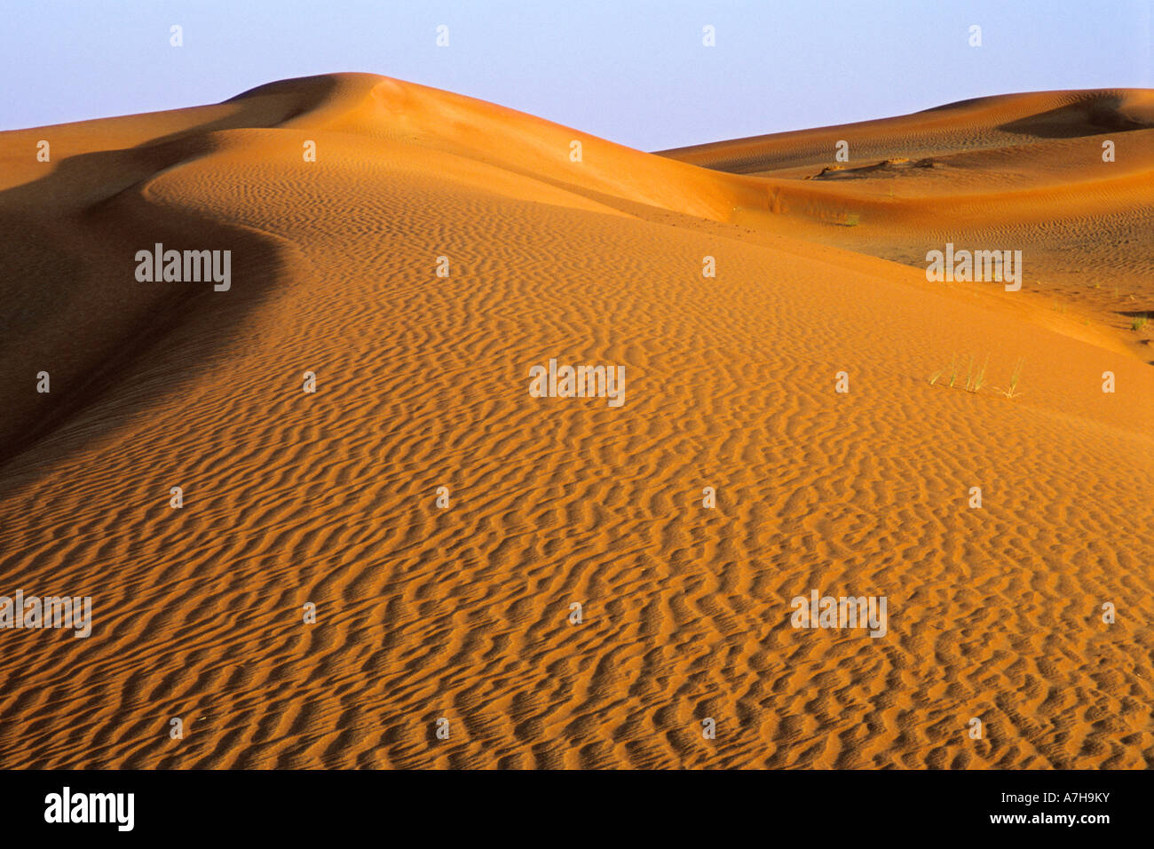 Sand dunes at Al Hayer near Dubai United Arab Emirates Stock Photo - Alamy