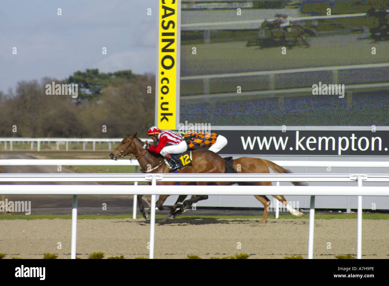 All weather horse racing hi-res stock photography and images - Alamy