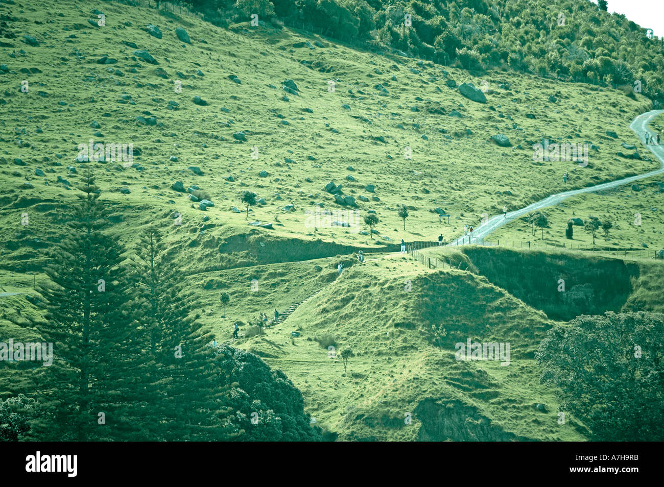 The headlands at the end of the Mount Manganui Beach North Island New ...