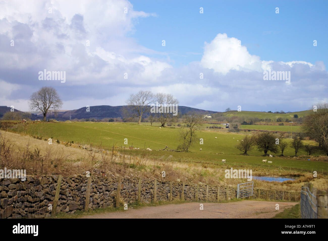 Tonyrefail hi-res stock photography and images - Alamy