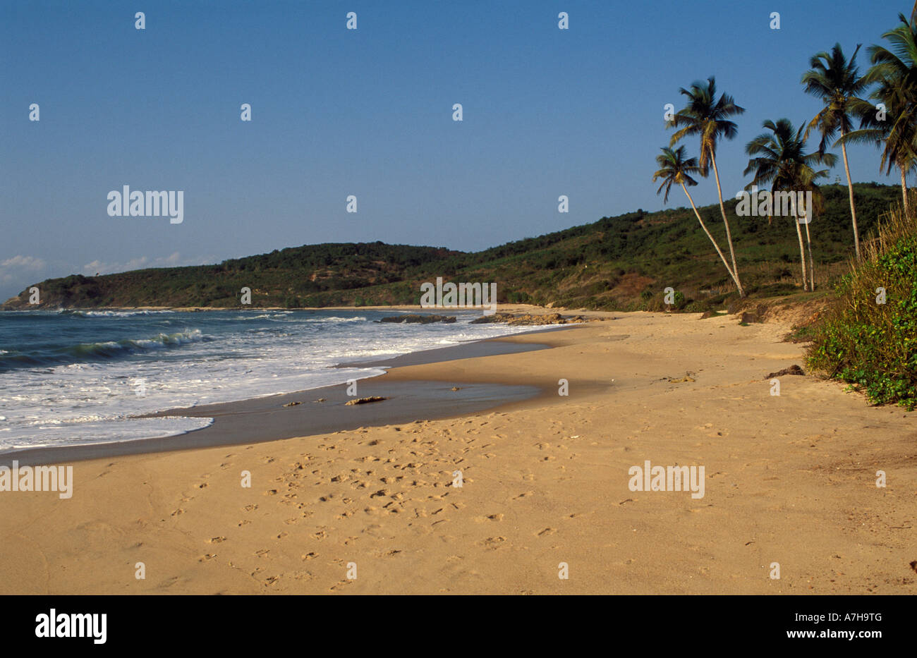 palm-lined beach, Biriwa, Ghana Stock Photo - Alamy