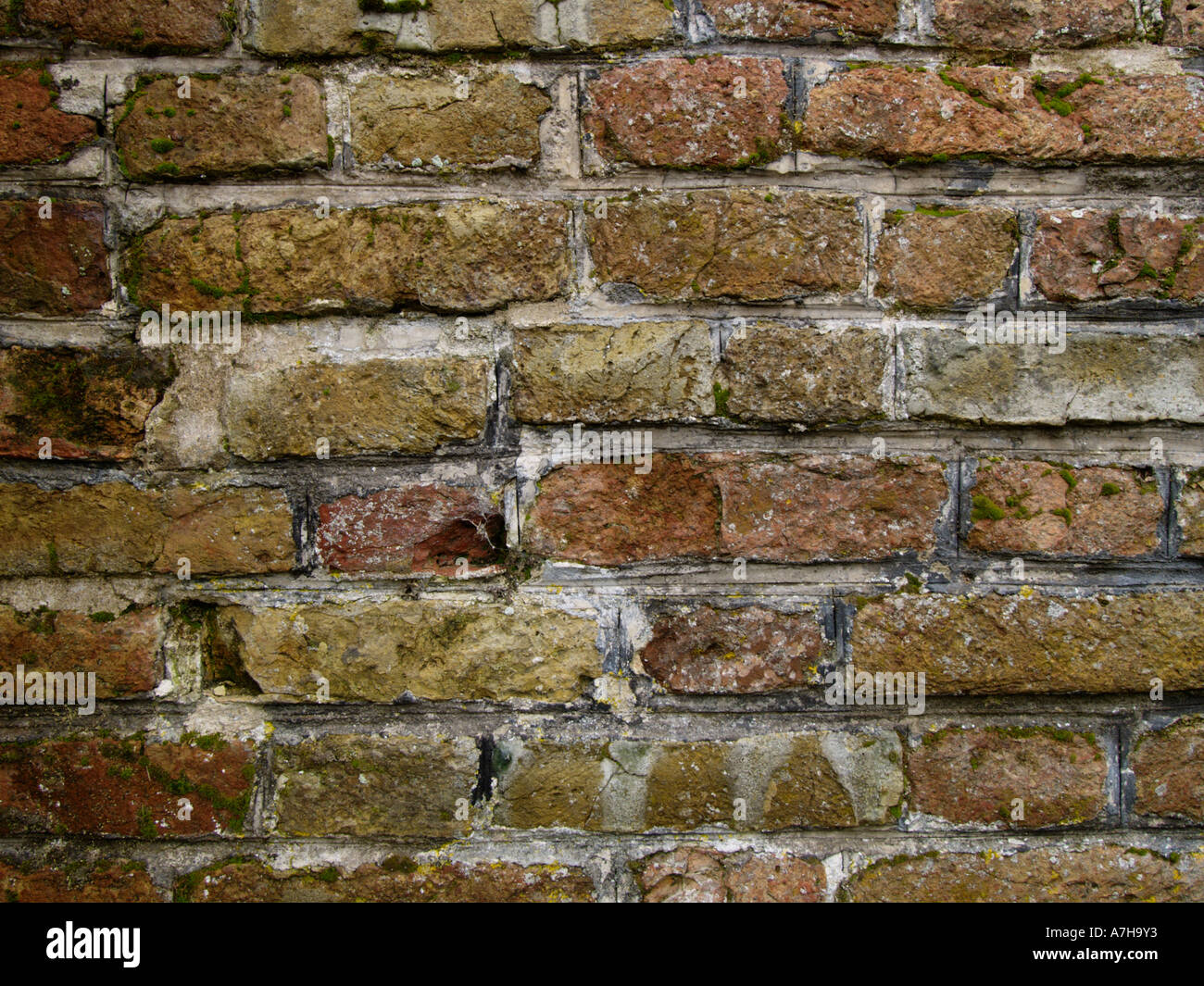 Brick pattern of medieval wall Brugge Bruges Belgium background Stock ...