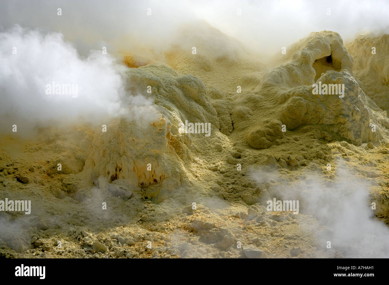 An active volcano floor with steam and a lot of sulfur yellow Stock ...