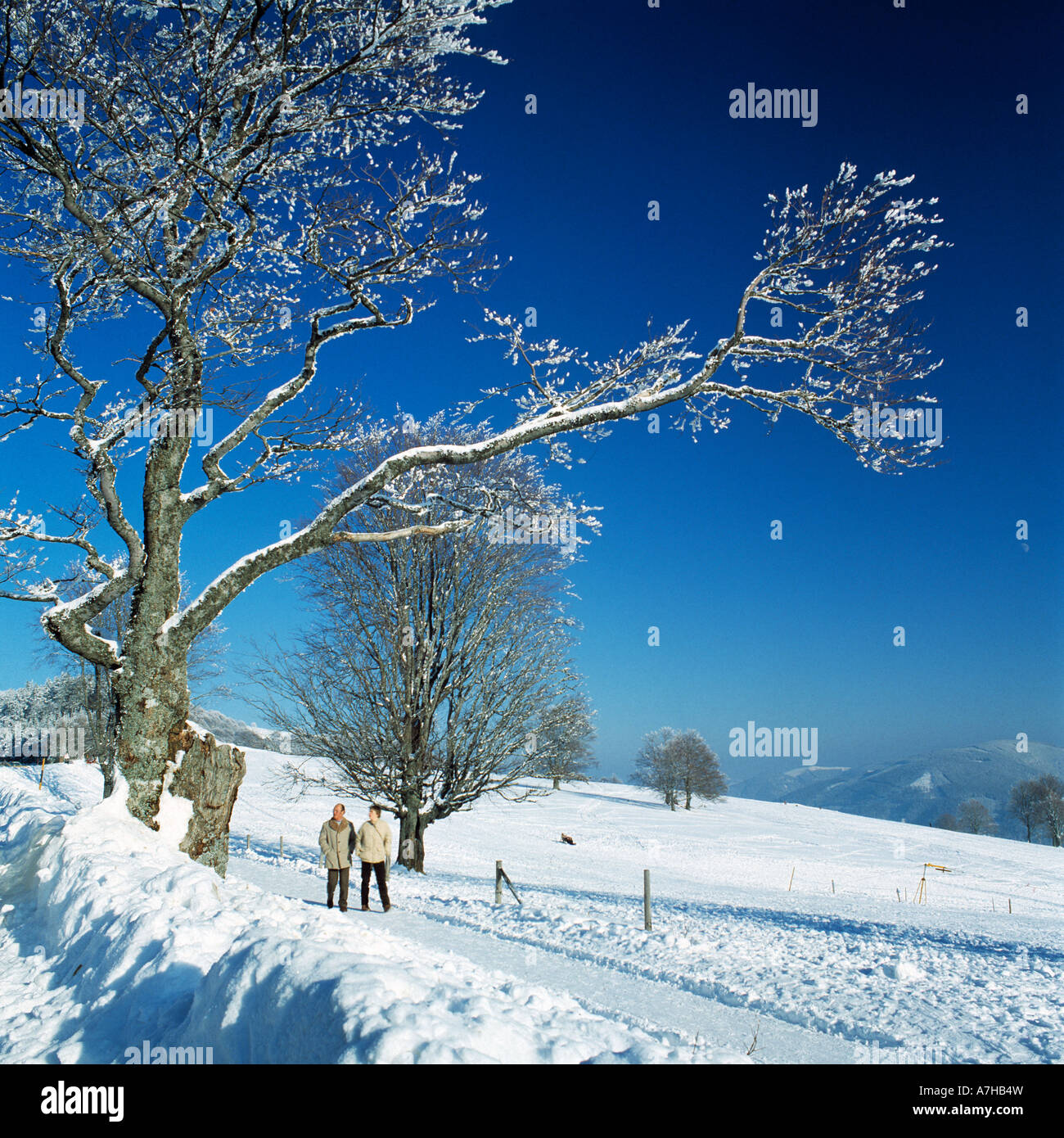 Spaziergang im Schnee, Winterlandschaft auf dem Schauinsland bei ...