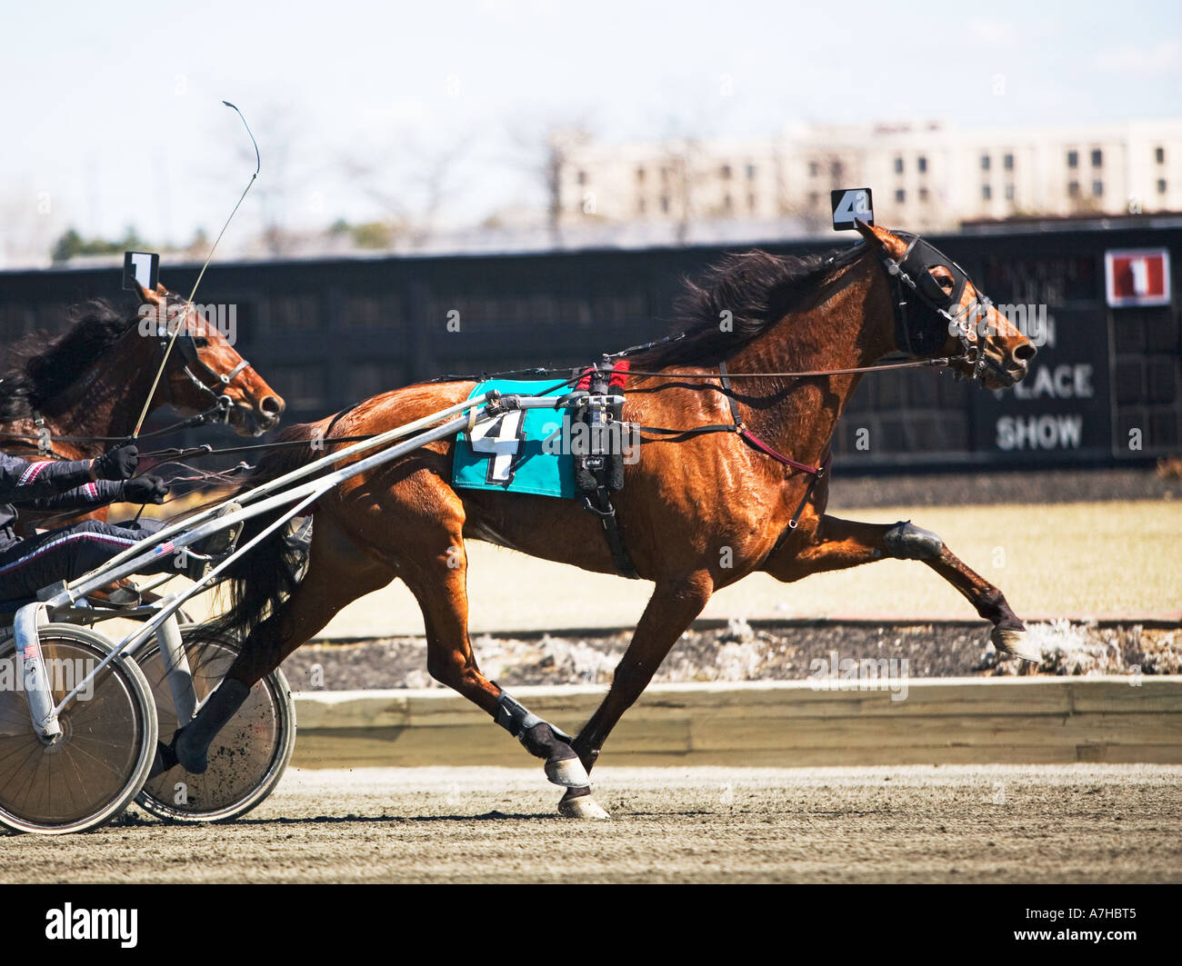 Horse cart racing america hi-res stock photography and images - Alamy