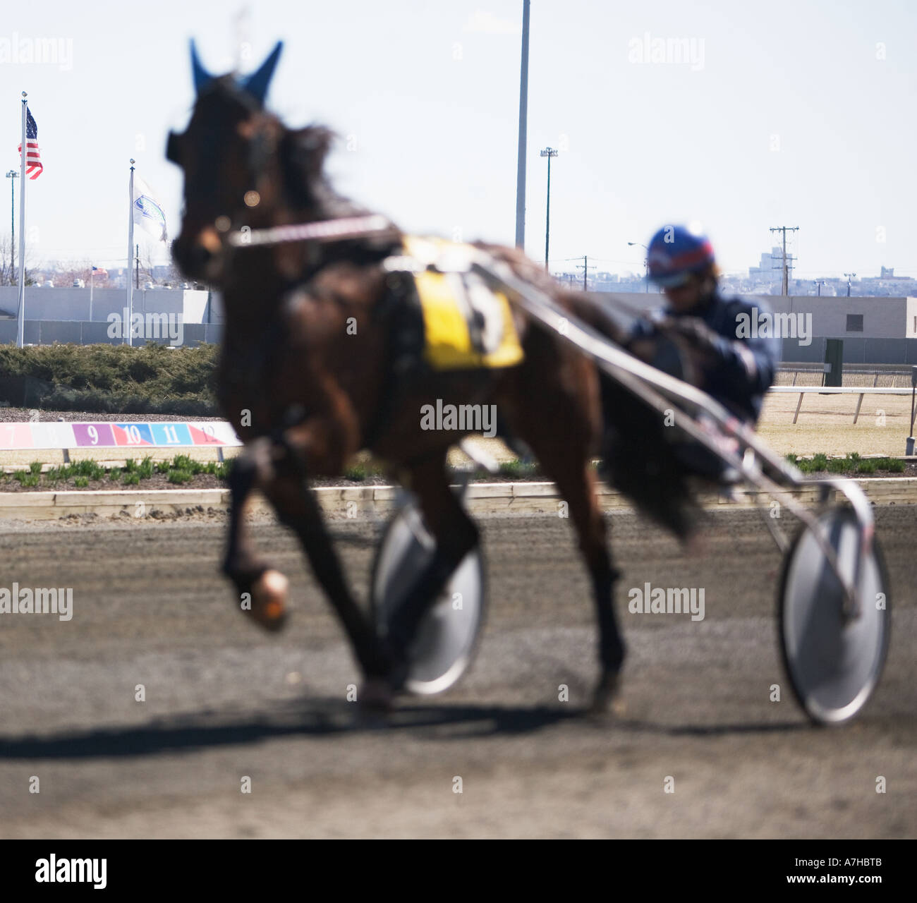 Horse cart racing america hi-res stock photography and images - Alamy