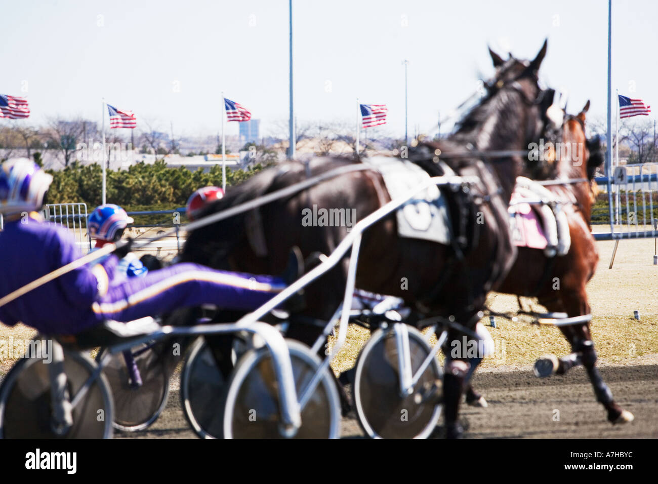 Horse cart racing america hi-res stock photography and images - Alamy