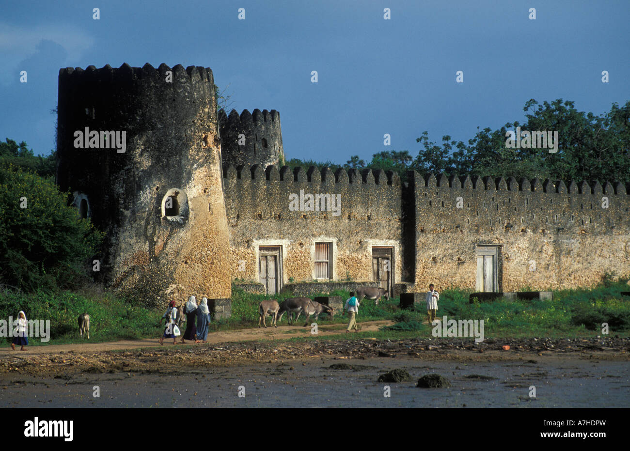 Kenya pate island pate village hi-res stock photography and images - Alamy