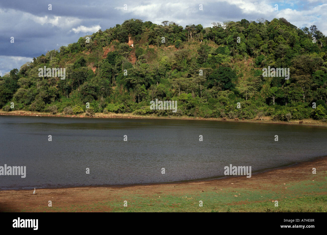 Marsabit national park hi-res stock photography and images - Alamy