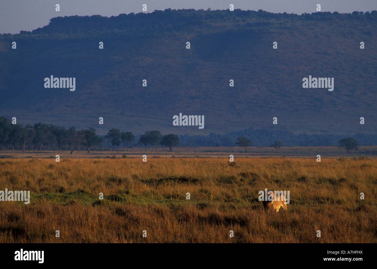 Oloololo escarpment hi-res stock photography and images - Alamy