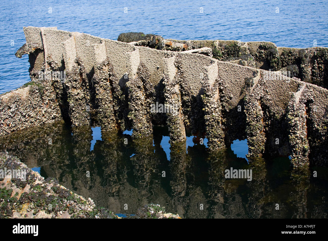 The shipwreck of HMS Port Napier was a mine layer in the Second World ...