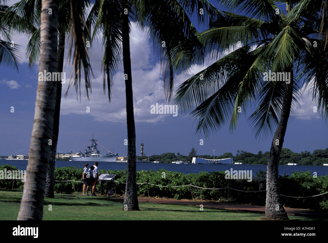 Pearl harbor tree of life hi-res stock photography and images - Alamy