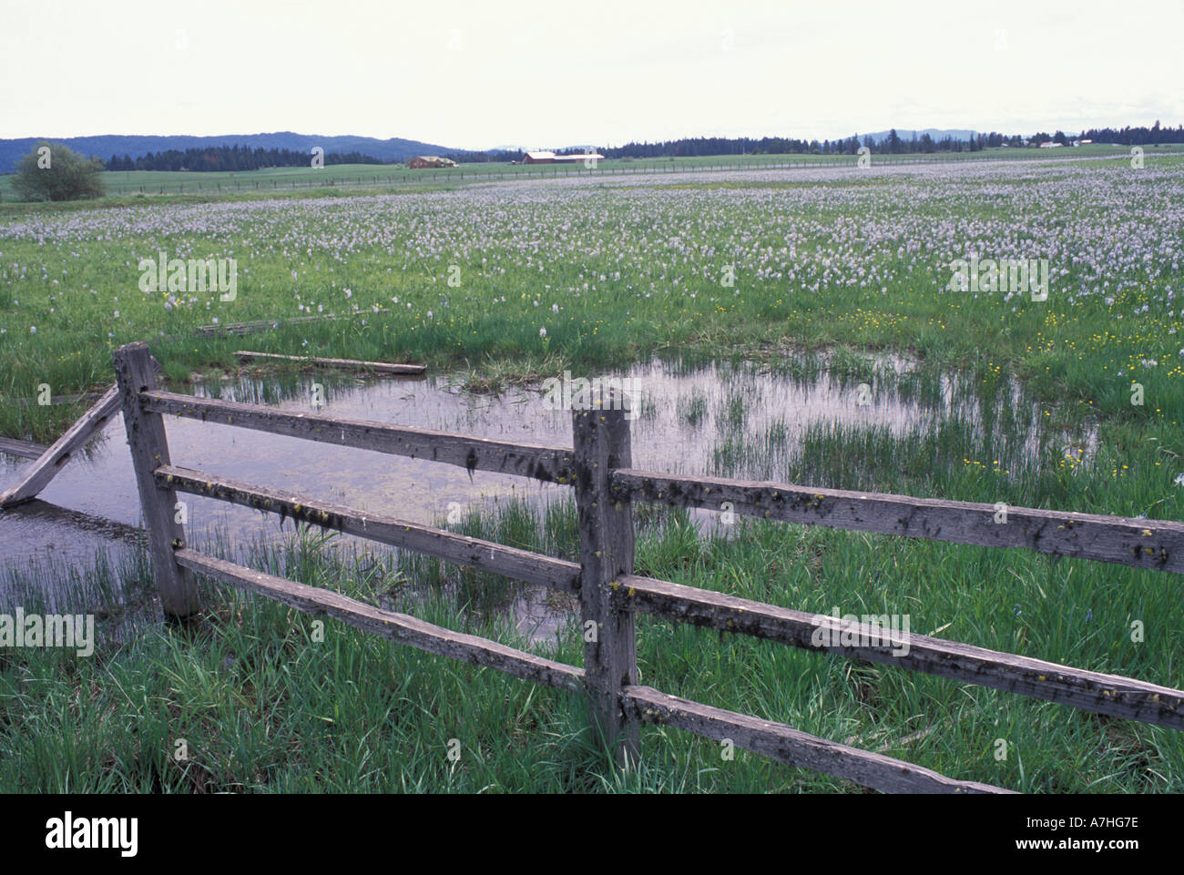 Lewis and Clark Trail, Idaho, Weippe Prairie National Historic Landmark ...