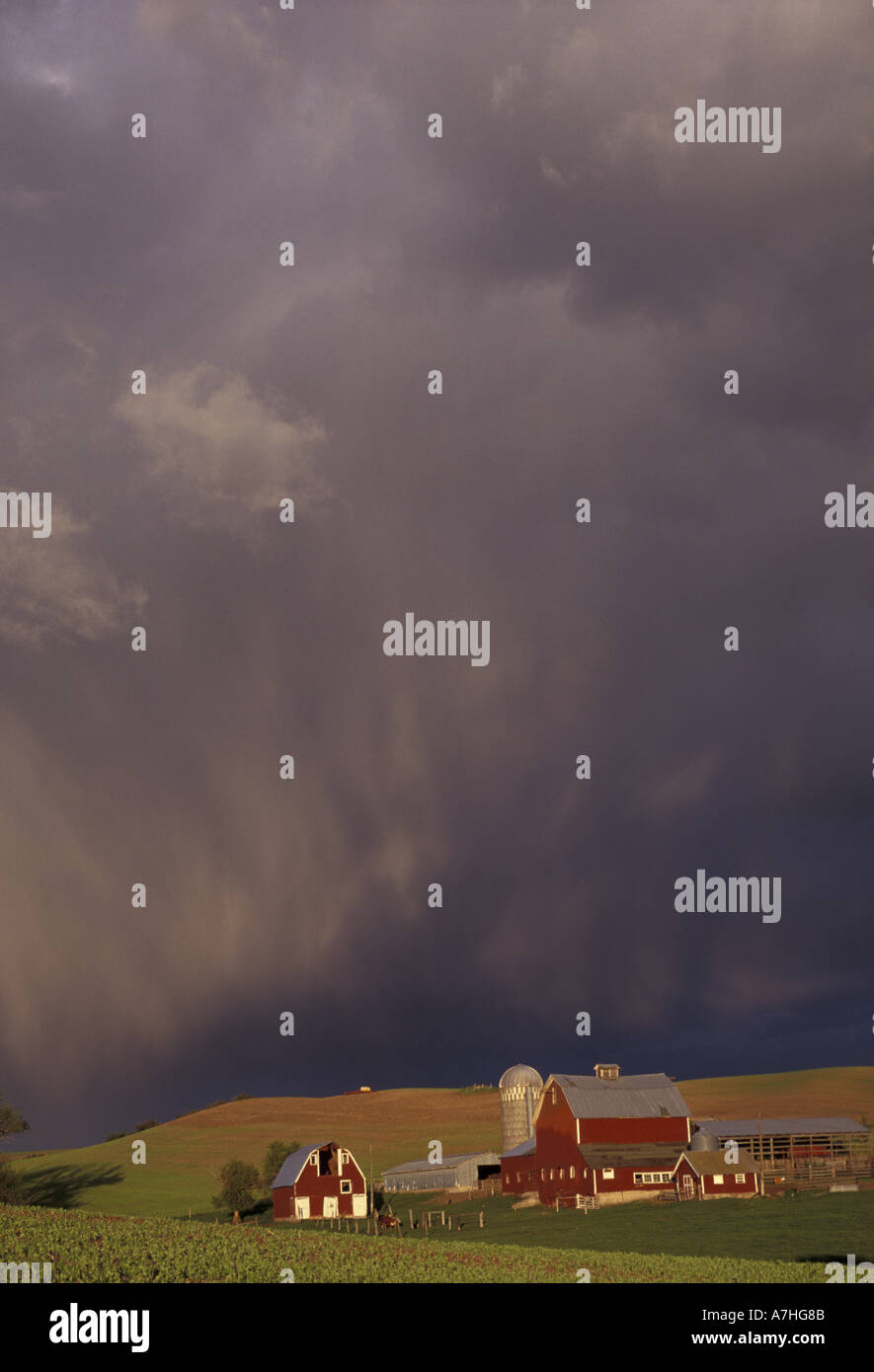 Idaho barns hi-res stock photography and images - Alamy