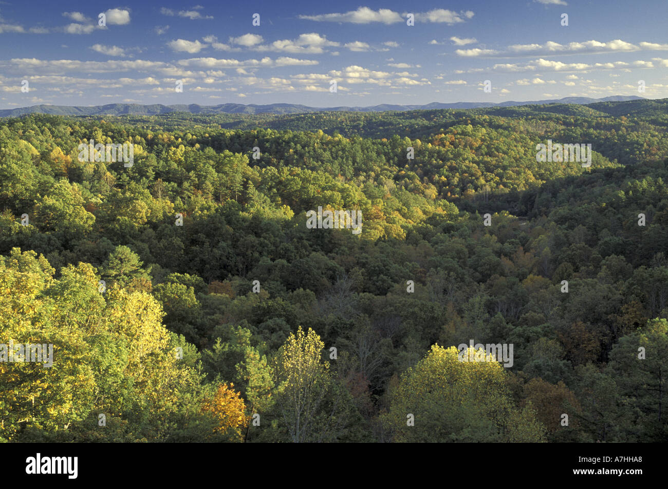Daniel boone national forest hi-res stock photography and images - Alamy