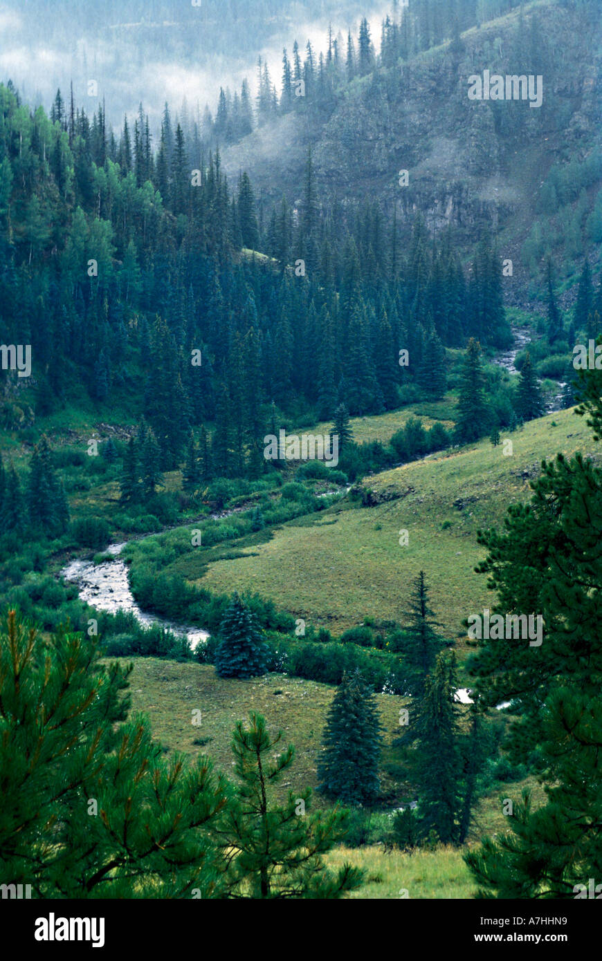 misty conifer valley scenic with river Stock Photo - Alamy