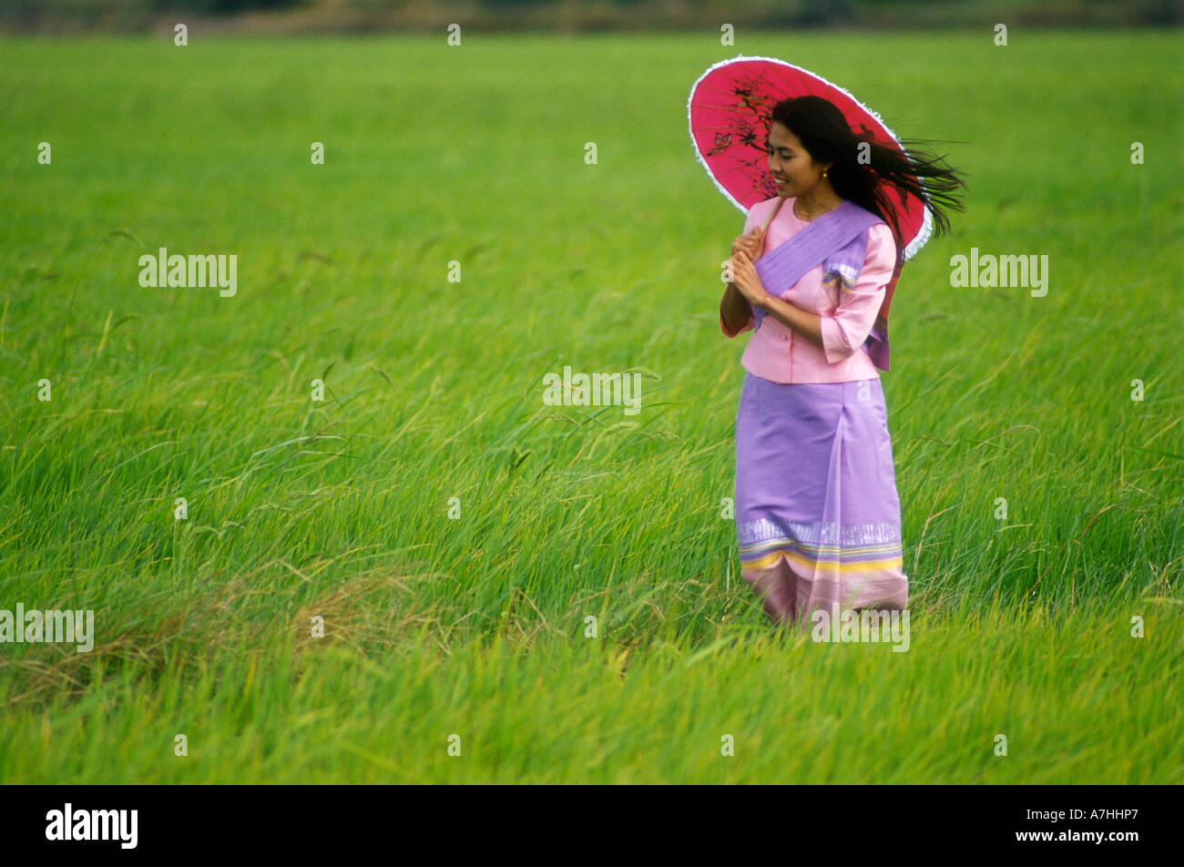 Girls in rice field hi-res stock photography and images - Alamy