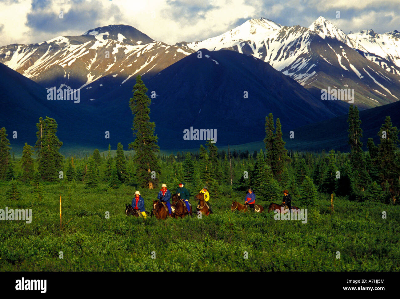 people, tourists, horseback ride, horseback riders, riding horses, Wood ...