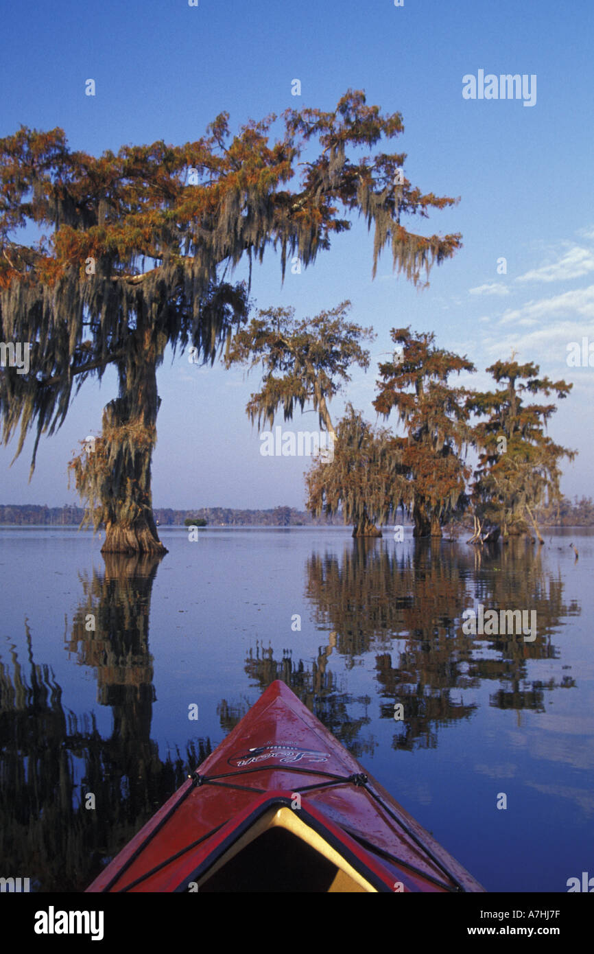LA, New Orleans. Kayak exploring the swamp, Atchafalaya Basin, west of ...