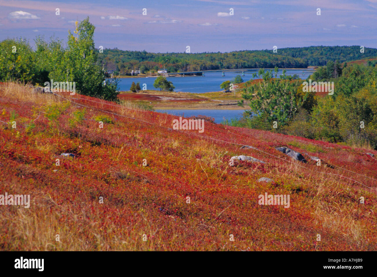 Barrens north hi-res stock photography and images - Alamy