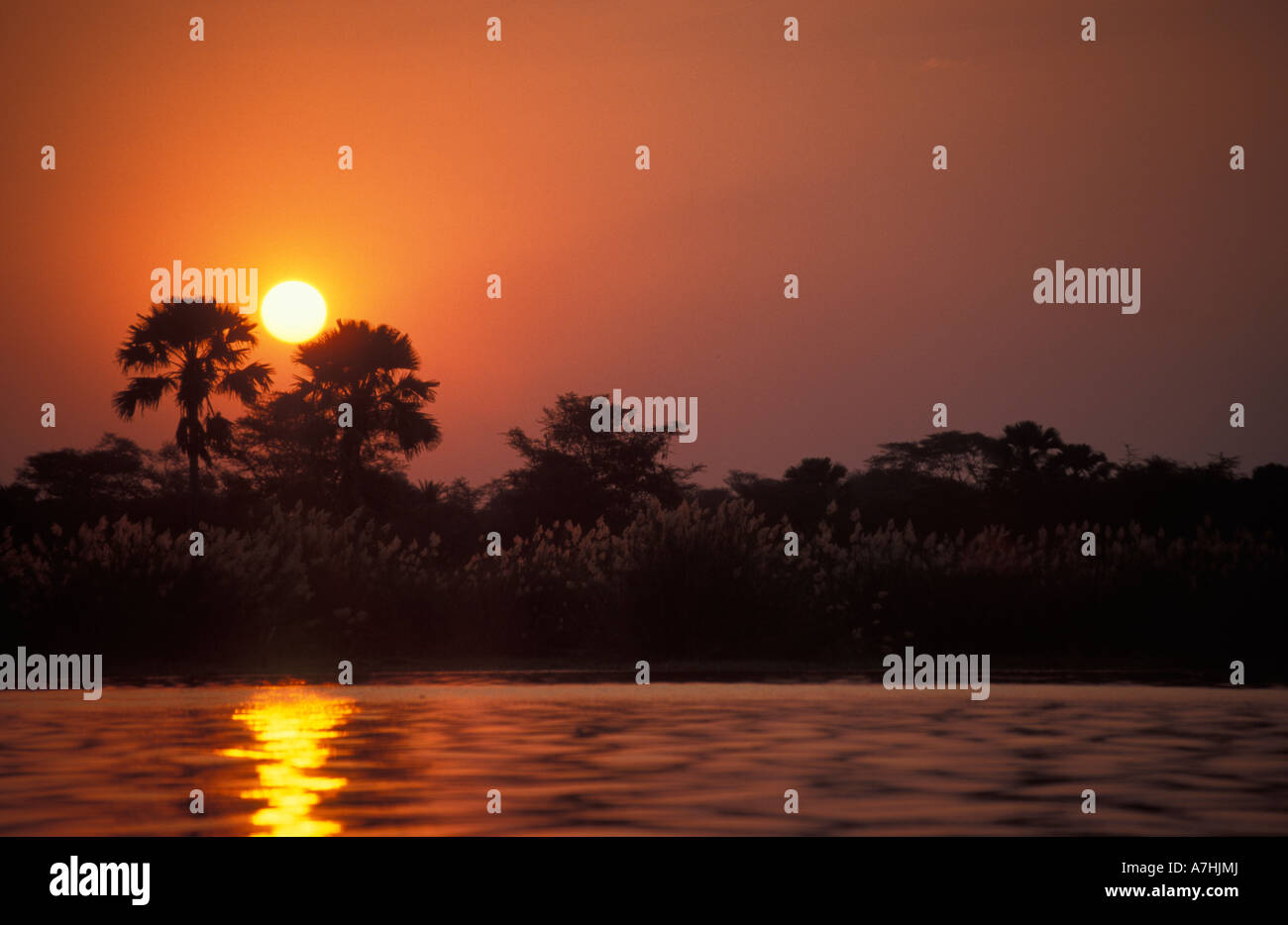 Shire river at sunset, Liwonde National Park, Malawi Stock Photo - Alamy