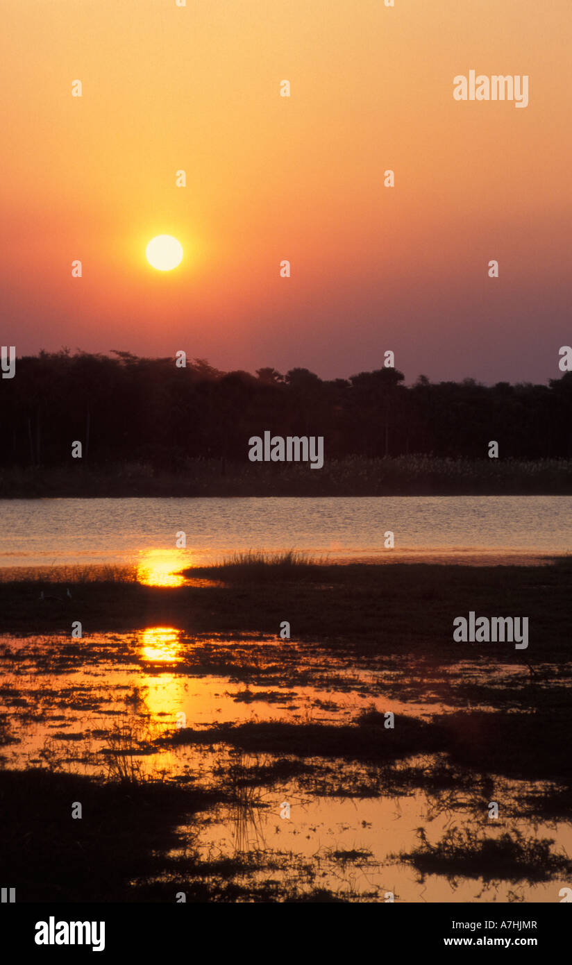 Shire river at sunset, Liwonde National Park, Malawi Stock Photo - Alamy