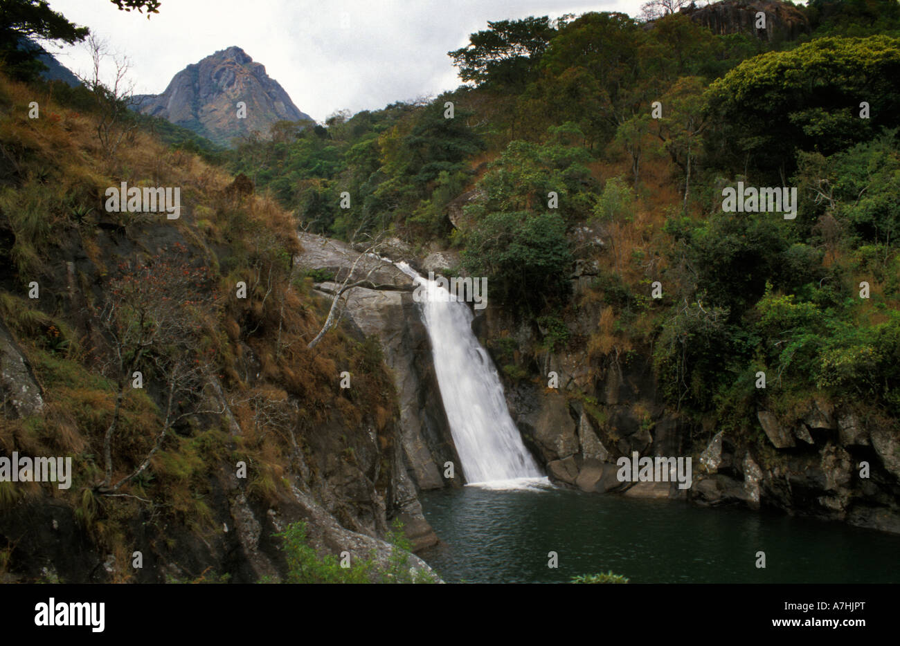 Mulanje mountain forest reserve malawi hi-res stock photography and ...